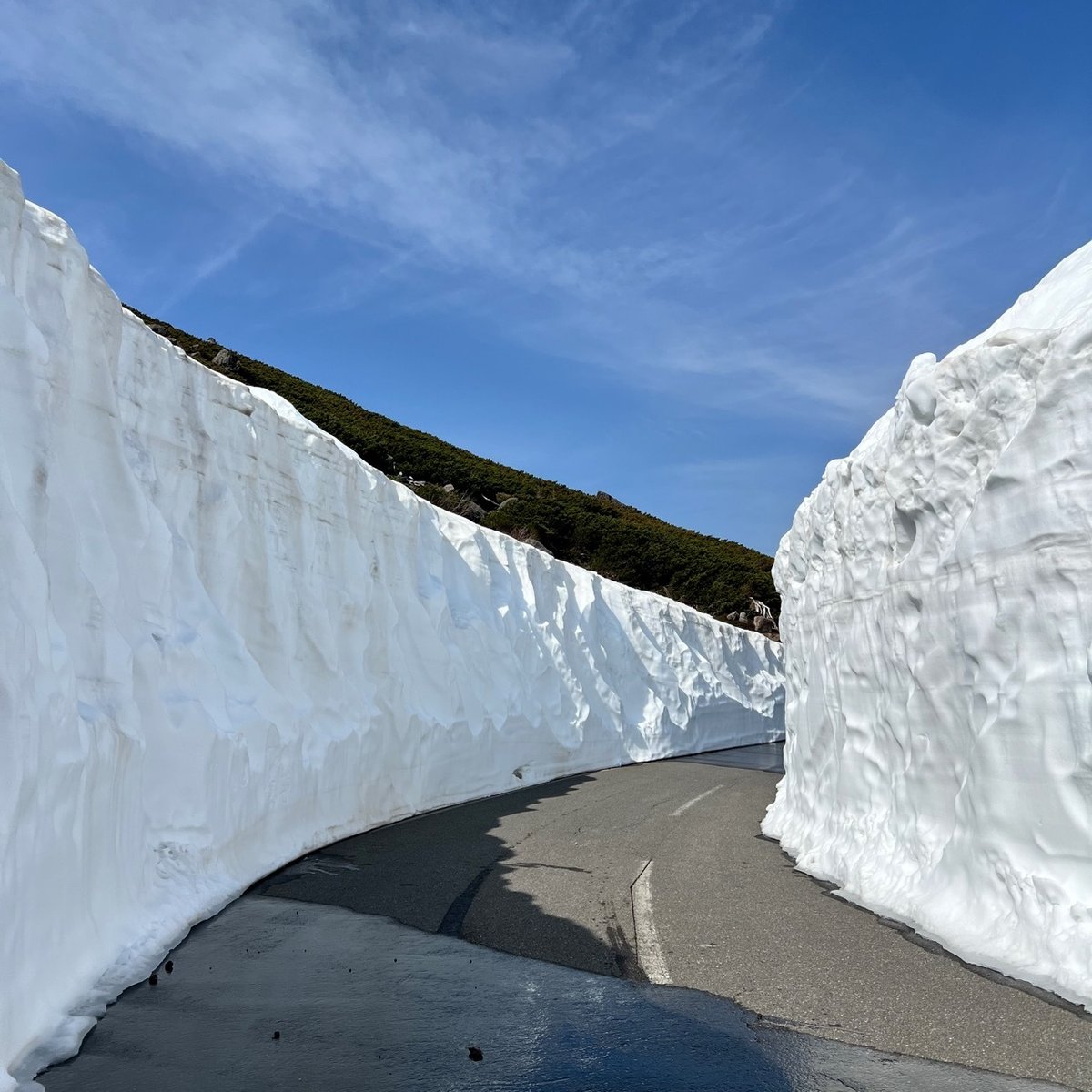 今日の山岳部(20250601)｜kanekochin