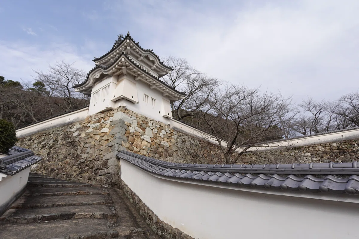 Tatsuno Castle and Keiro-san Castle: A Contrast Between the Medieval ...