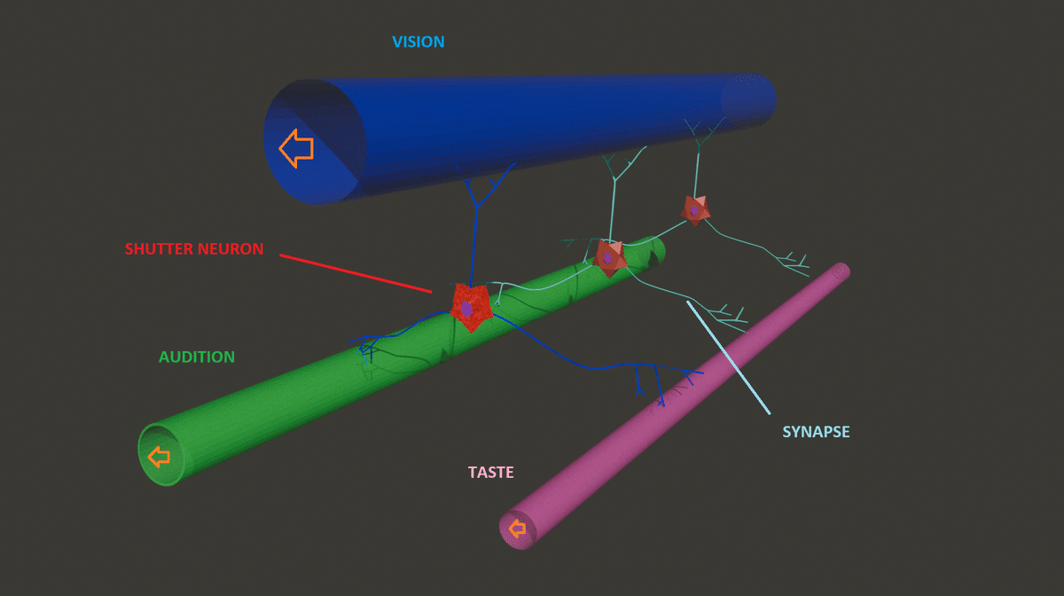 "Beyond Deep Learning: How the Shutter Tube Theory Unifies Memory and ...