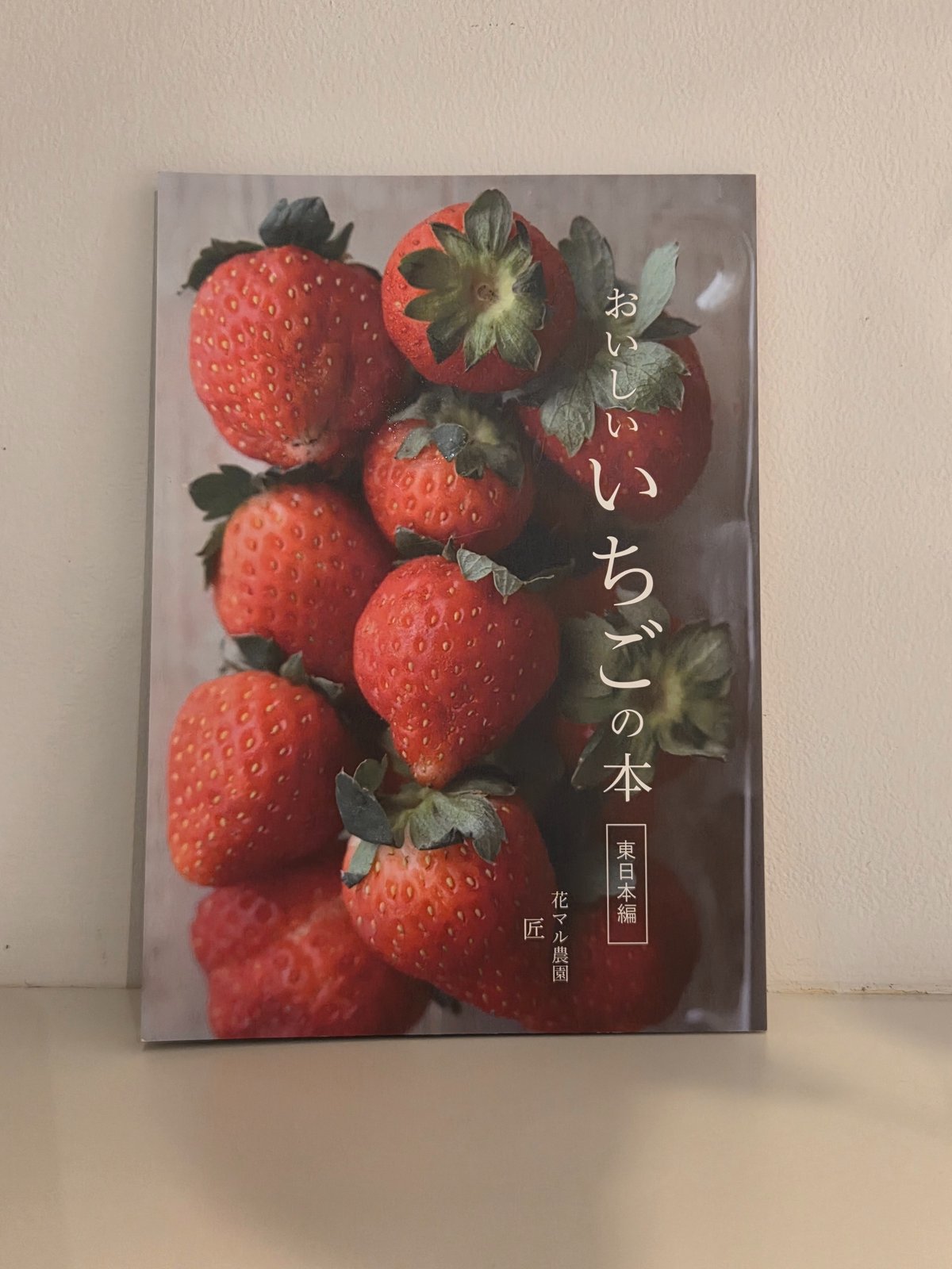 何気ない日常を大量の写真と共に（78枚）｜YOSUKEOTSUKA 大塚陽介