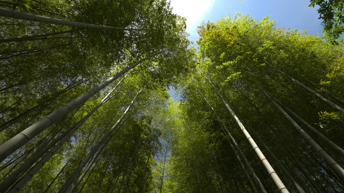 演出と現実のあいだにあるもの──「余白」や「受けとる姿勢」は必ず活きる。｜Ryosuke Noda