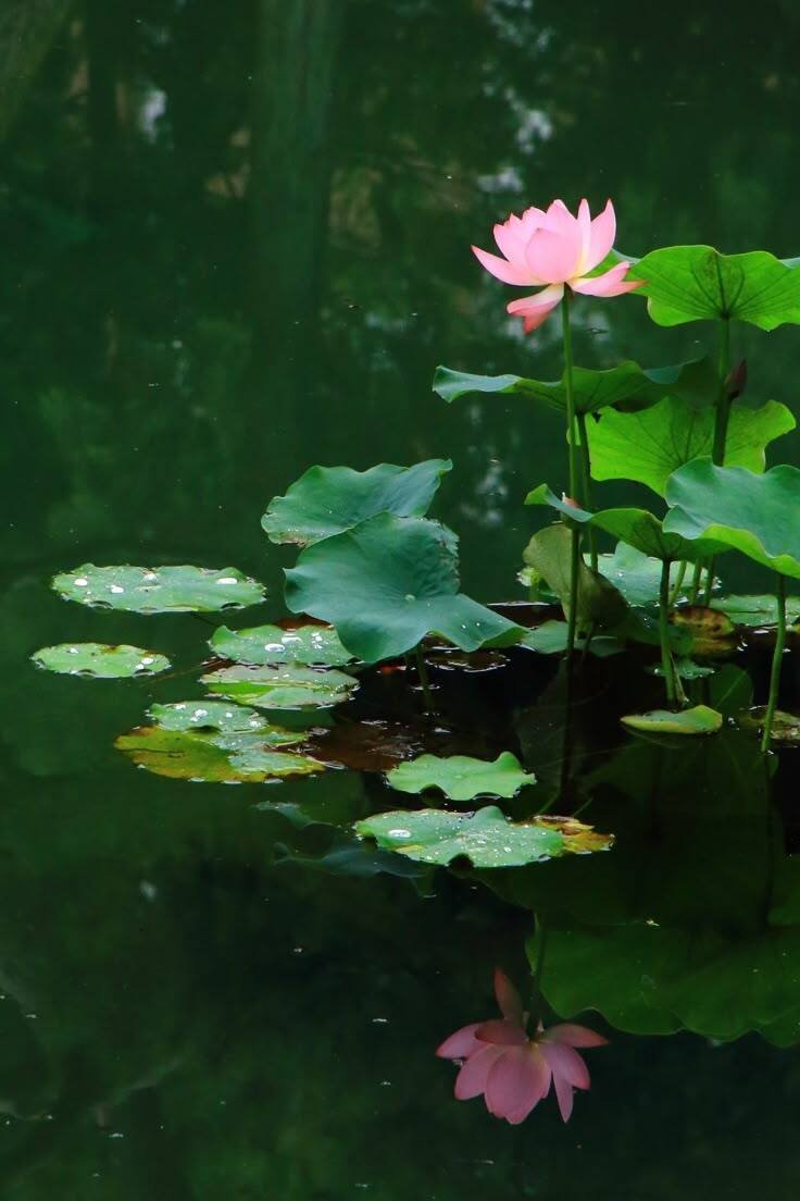 日本人の90％と違う結果を得るために｜野田諒介/Noda Ryosuke