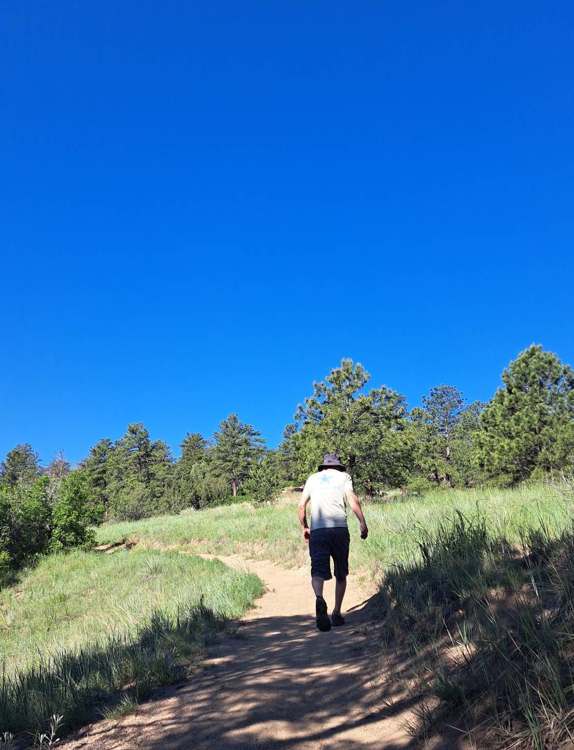 グリーンカード更新プロセス、長過ぎ～‼＞＜④｜Keiko Fry