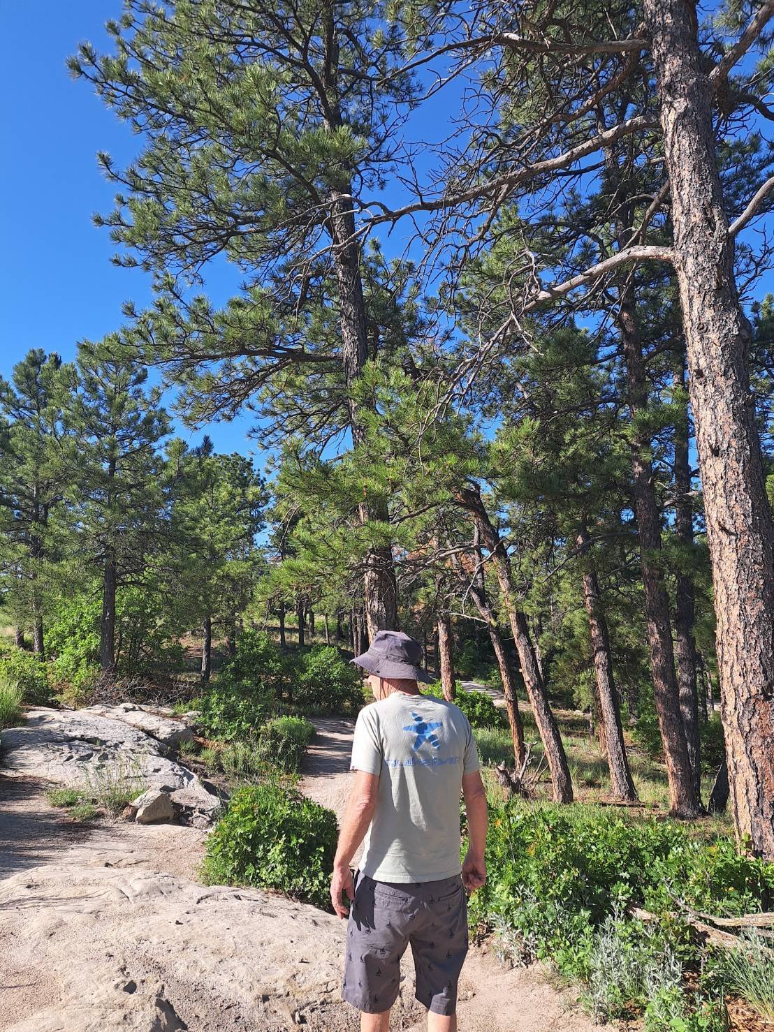 グリーンカード更新プロセス、長過ぎ～‼＞＜④｜Keiko Fry