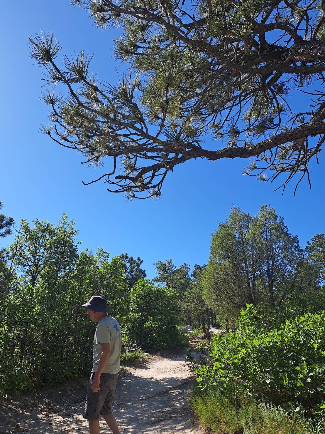 グリーンカード更新プロセス、長過ぎ～‼＞＜④｜Keiko Fry