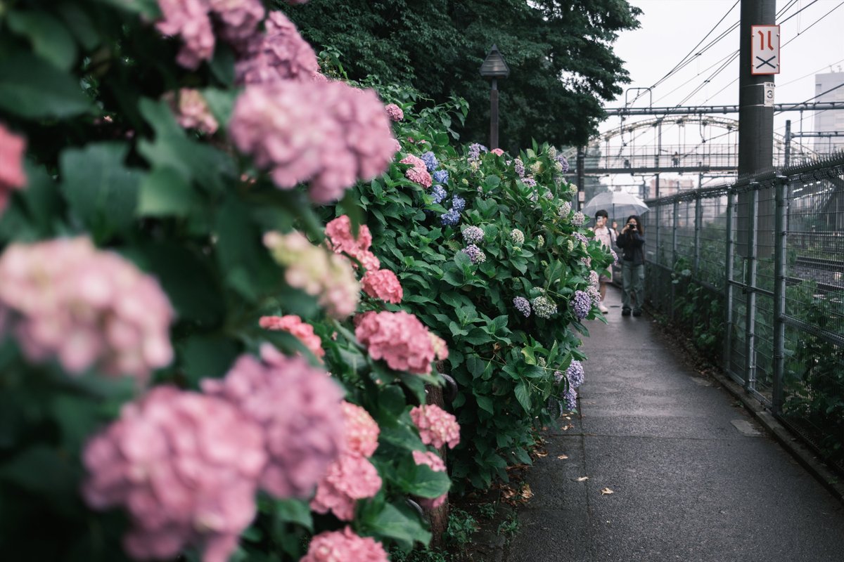 X100VIをもって王子へ｜Kazu_Hiro