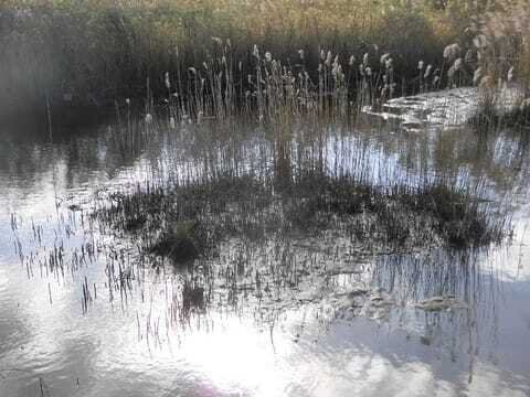 中を執れ！ 孔子62｜Hiroshi Kamitaka