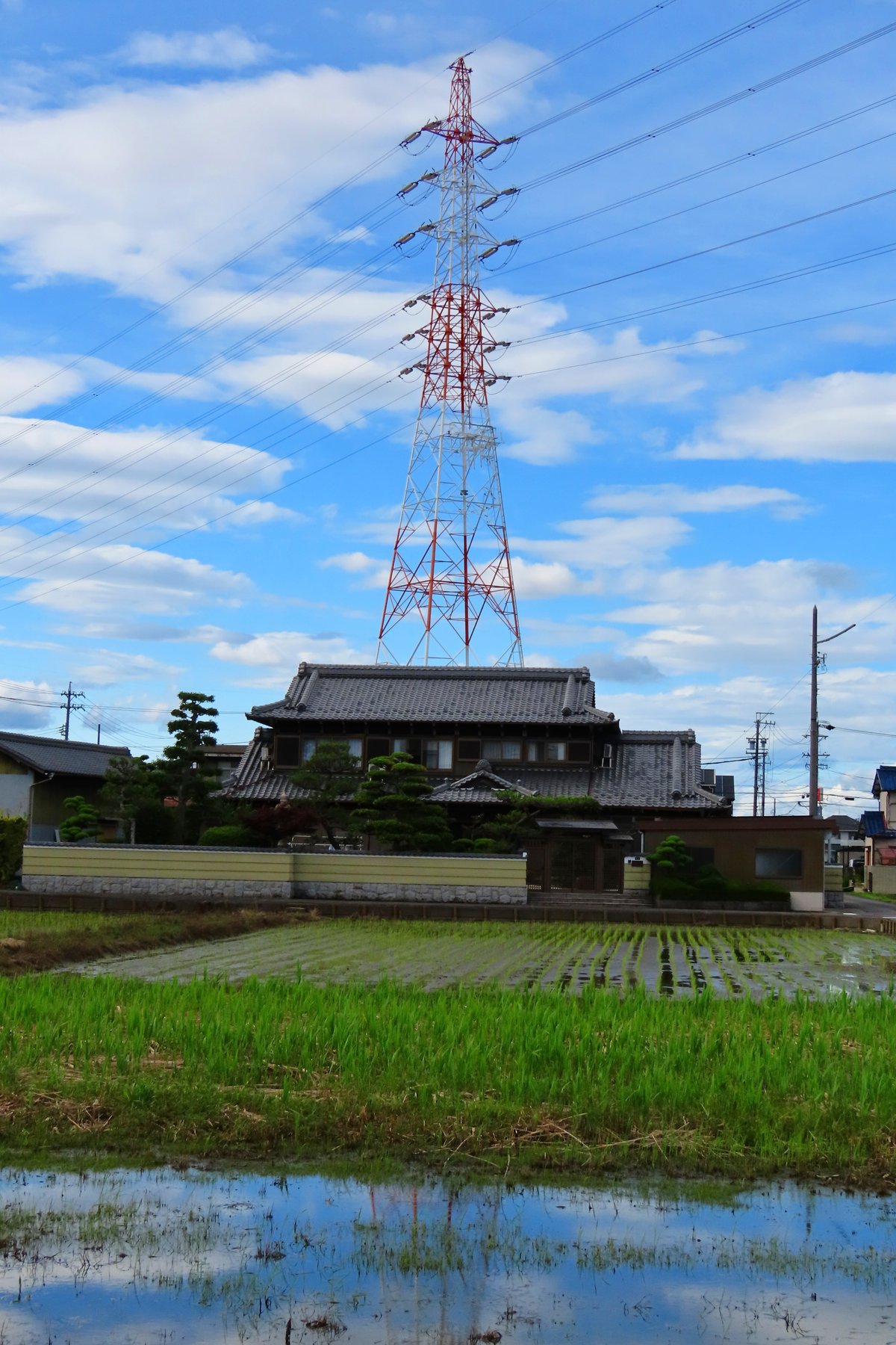 水田にて Reflection｜HRSD-note