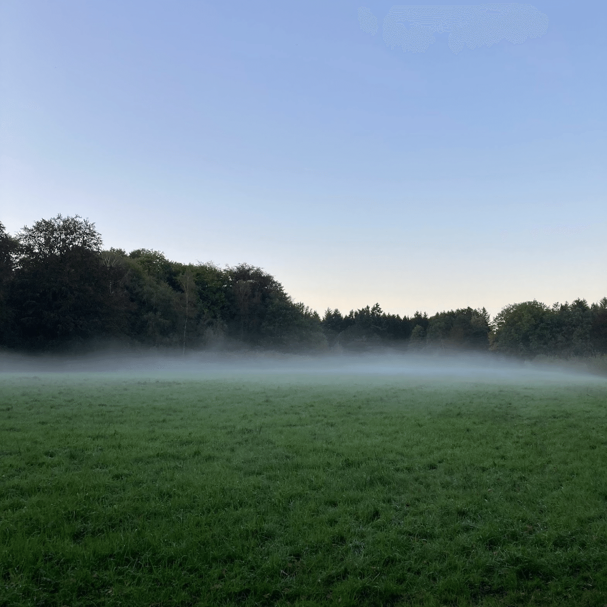 Hachikō｜Munakata Shun