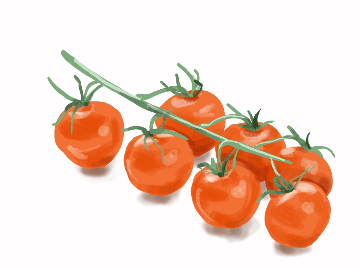 day297 オリジナルTシャツその後｜katamuku