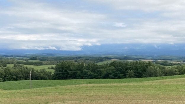 絵画の「タイトル」のつけ方、考え方｜美術のじかん / TAKUYA YONEZAWA note