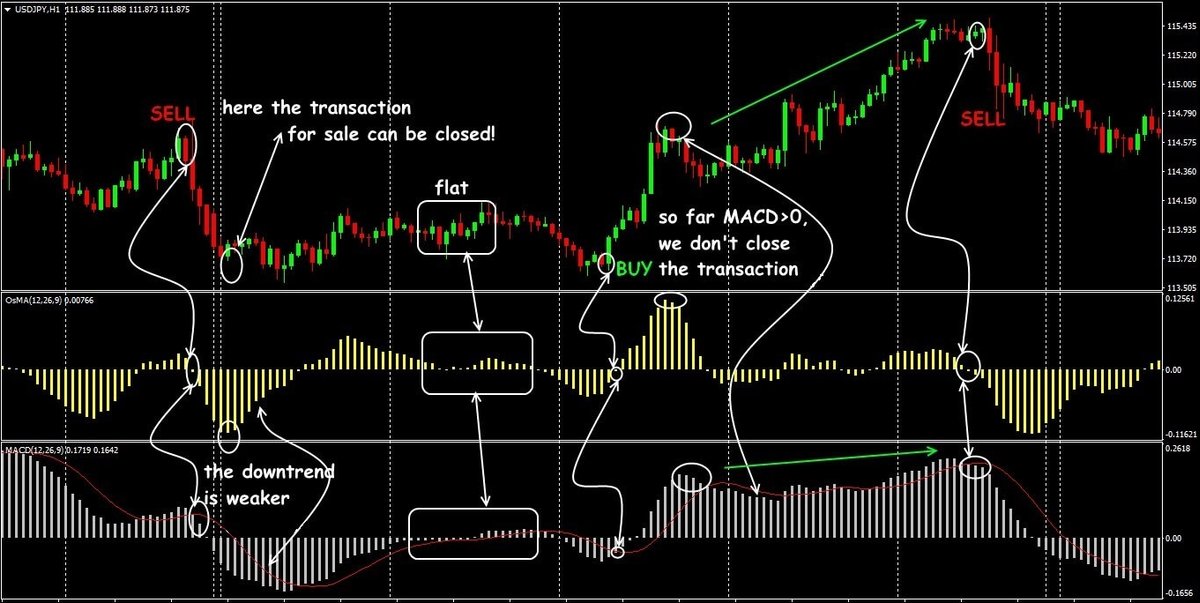 📘 MACDをさらに見やすくする｜OsMA（オシレーターの移動平均）の使い方｜海外FXラボ