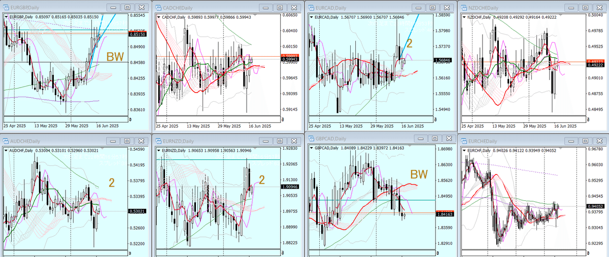 25/6/17㈫｜momorin