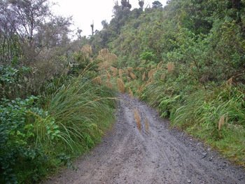 New Zealand 最高のMTBトラック The 42 Traverse｜Iwao FUJII