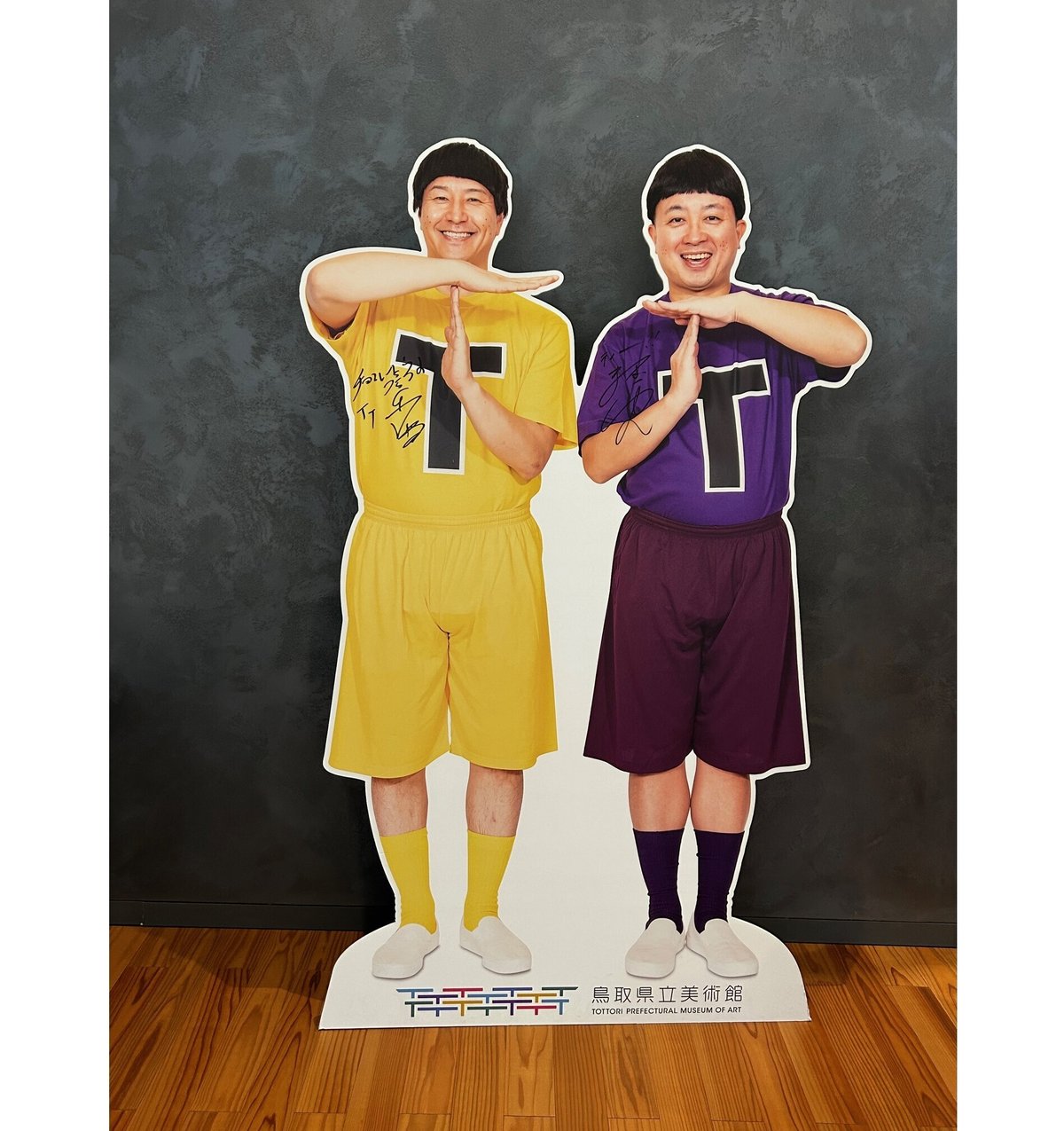 鳥取ゆらゆらひとり旅①～激揺れスーパーはくとで行く県立美術館編～｜Y.Shelby