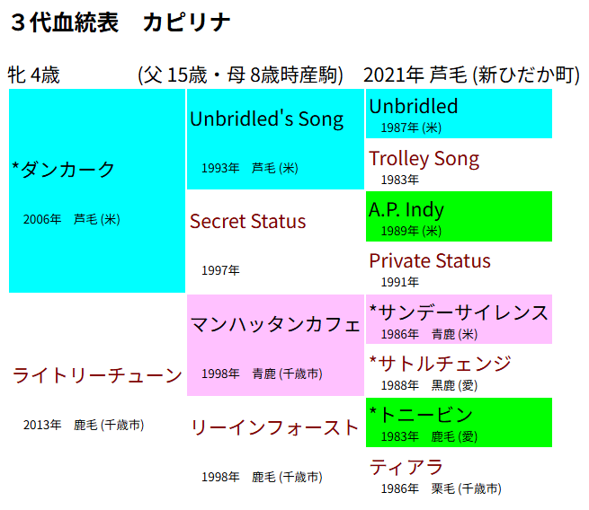 【AI分析】函館スプリントS・レース回顧（2025）｜VRS18🐴