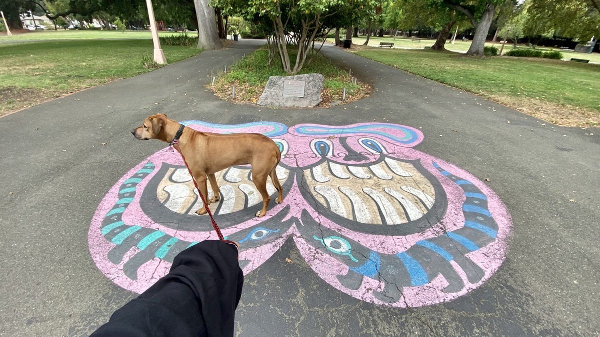 CSC#10 Santa Rosa Marathon｜Yui Horiuchi