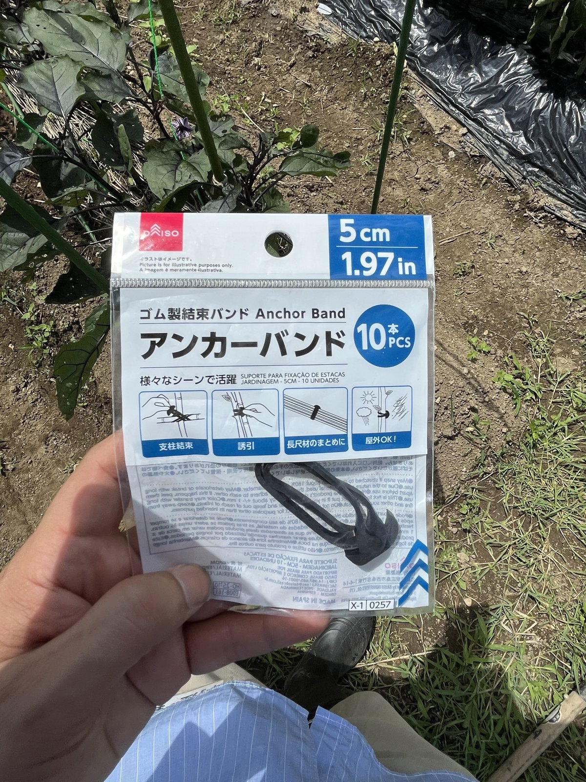 【農業研修】ナスの3本仕立て｜ca-ptain@農ある暮らし