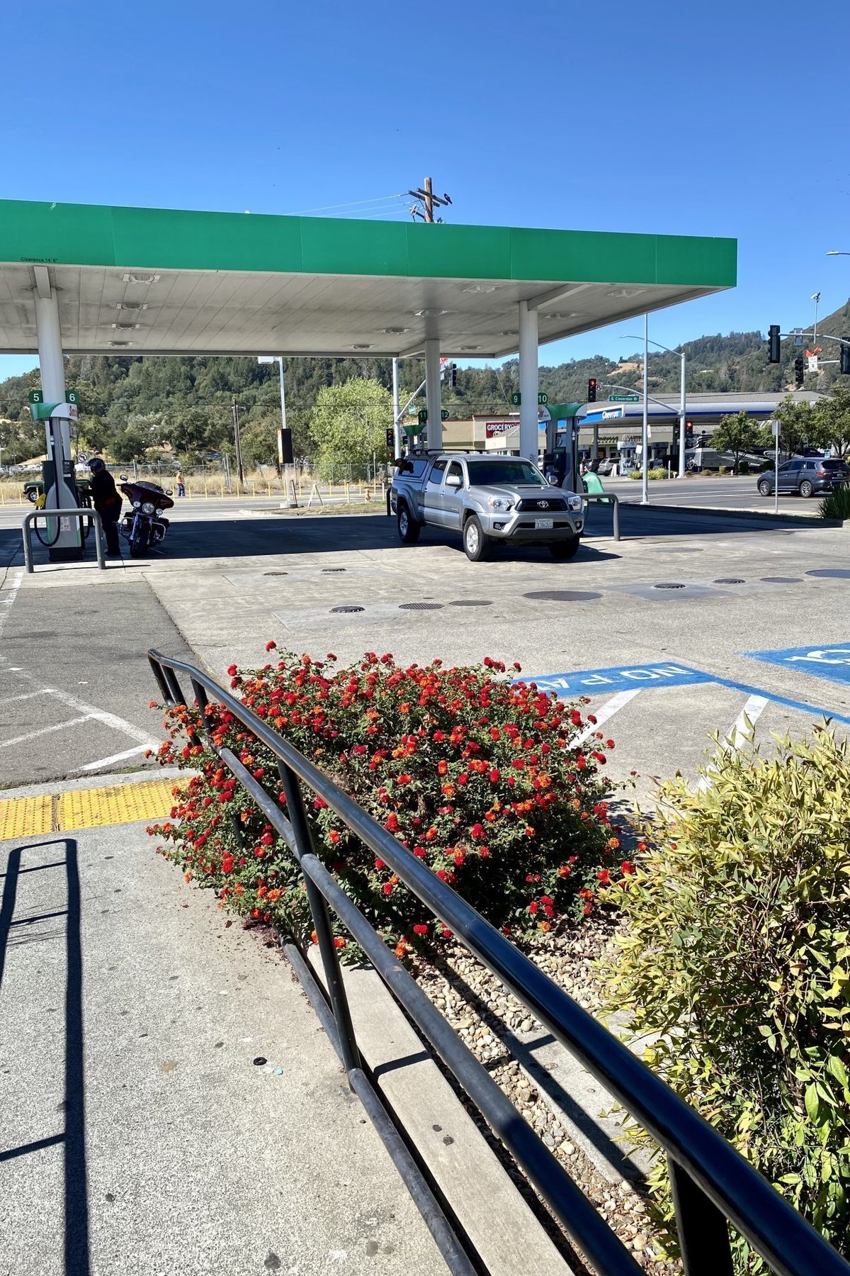 CSC#11 Skinny Dip｜Yui Horiuchi