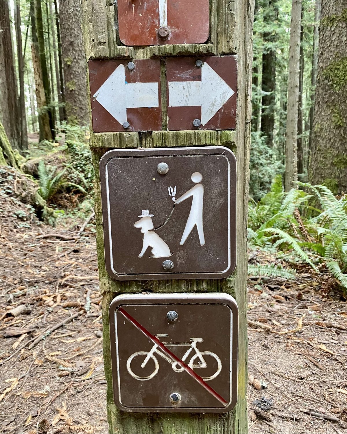 CSC#23 God Rays｜Yui Horiuchi