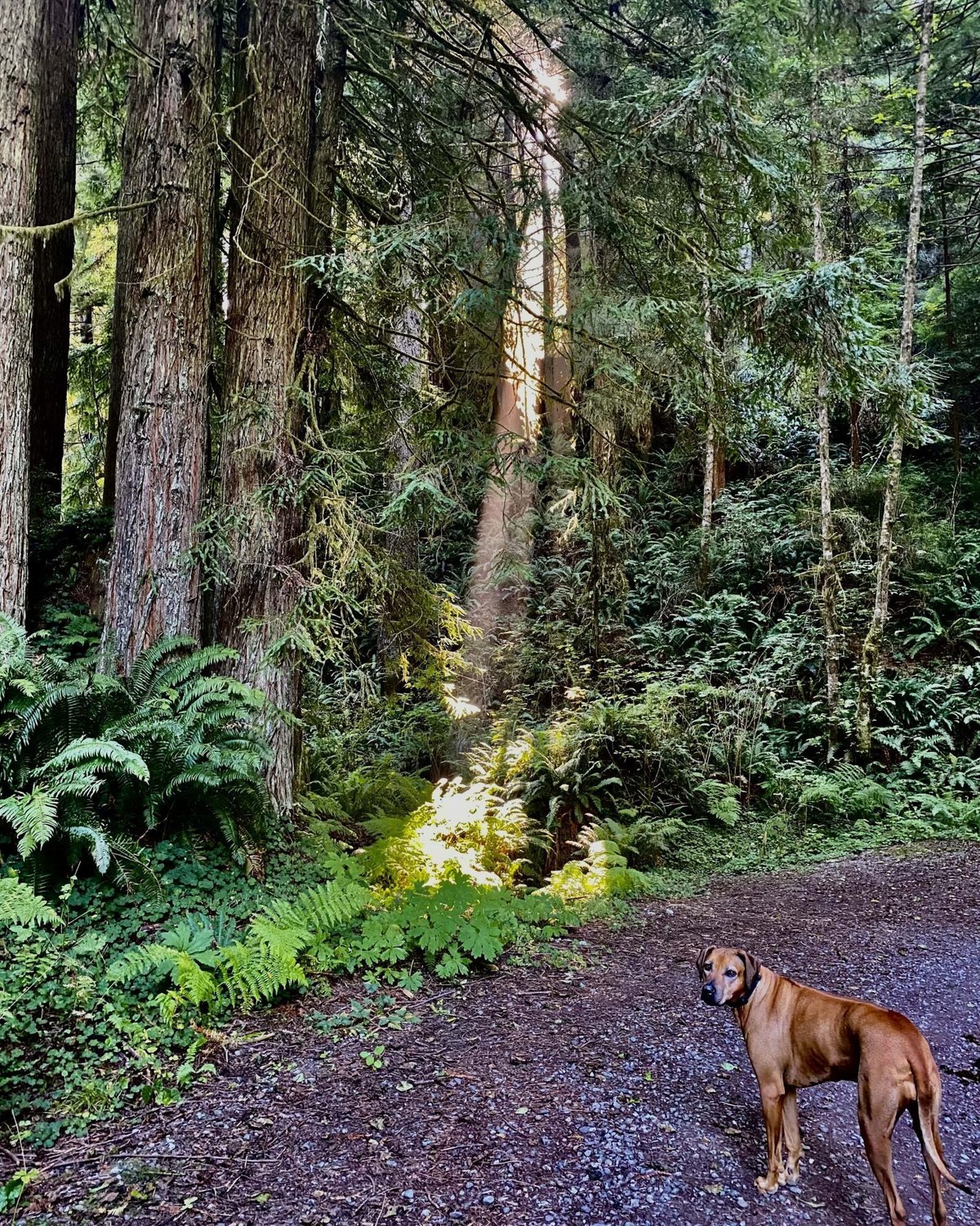 CSC#23 God Rays｜Yui Horiuchi