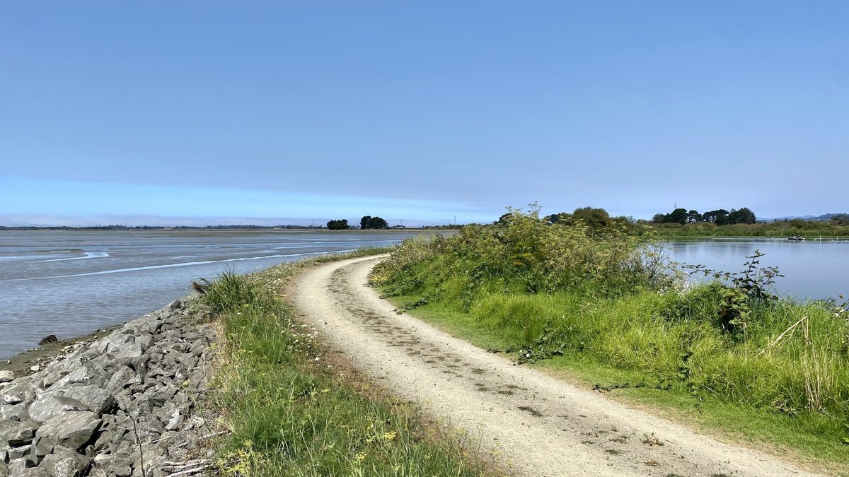CSC#20 Oxidation Pond｜Yui Horiuchi