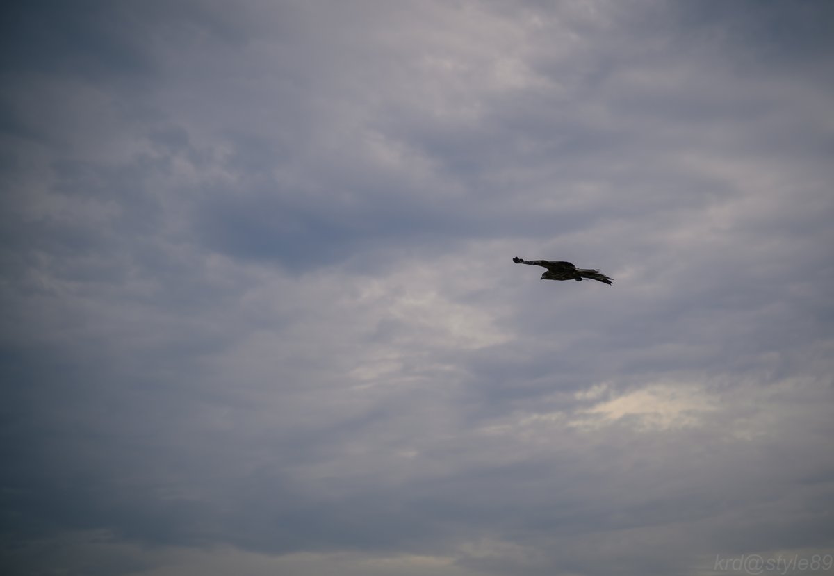 東京散歩 鎌倉（その2）｜krd@style89