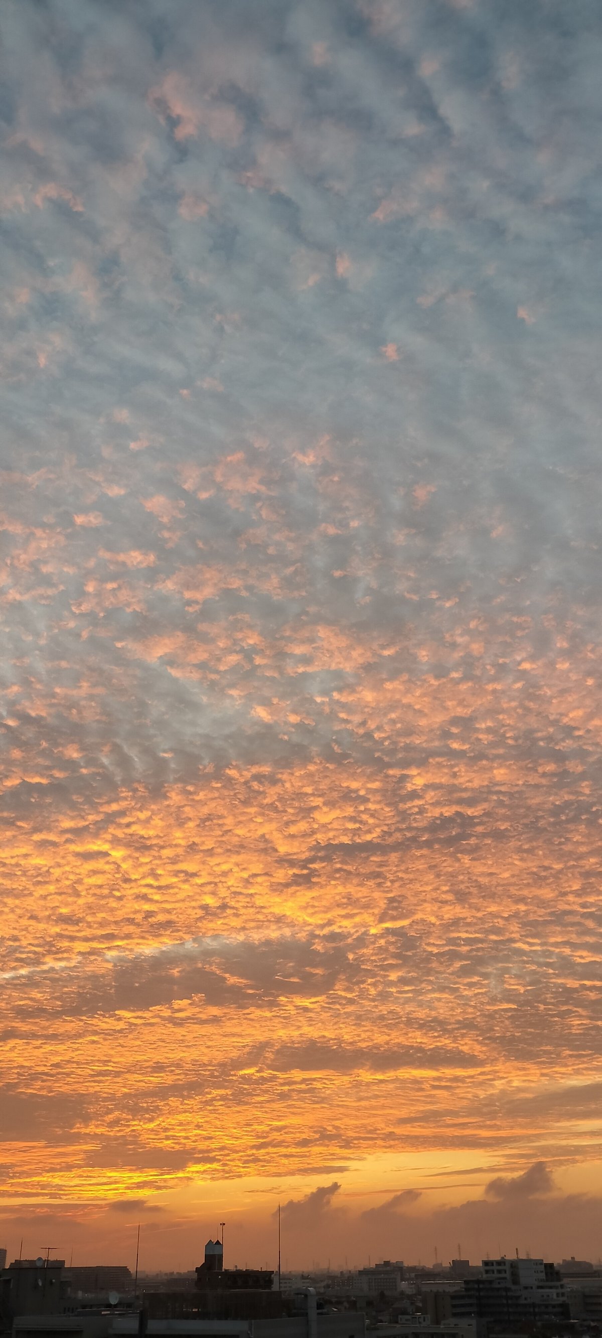 梅雨の朝焼け｜Toru Shiratori