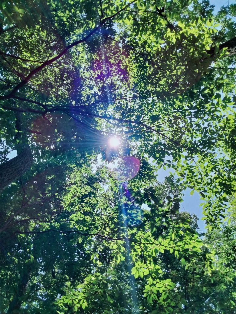 ダイビングマクス 説｜Nami with Bashar