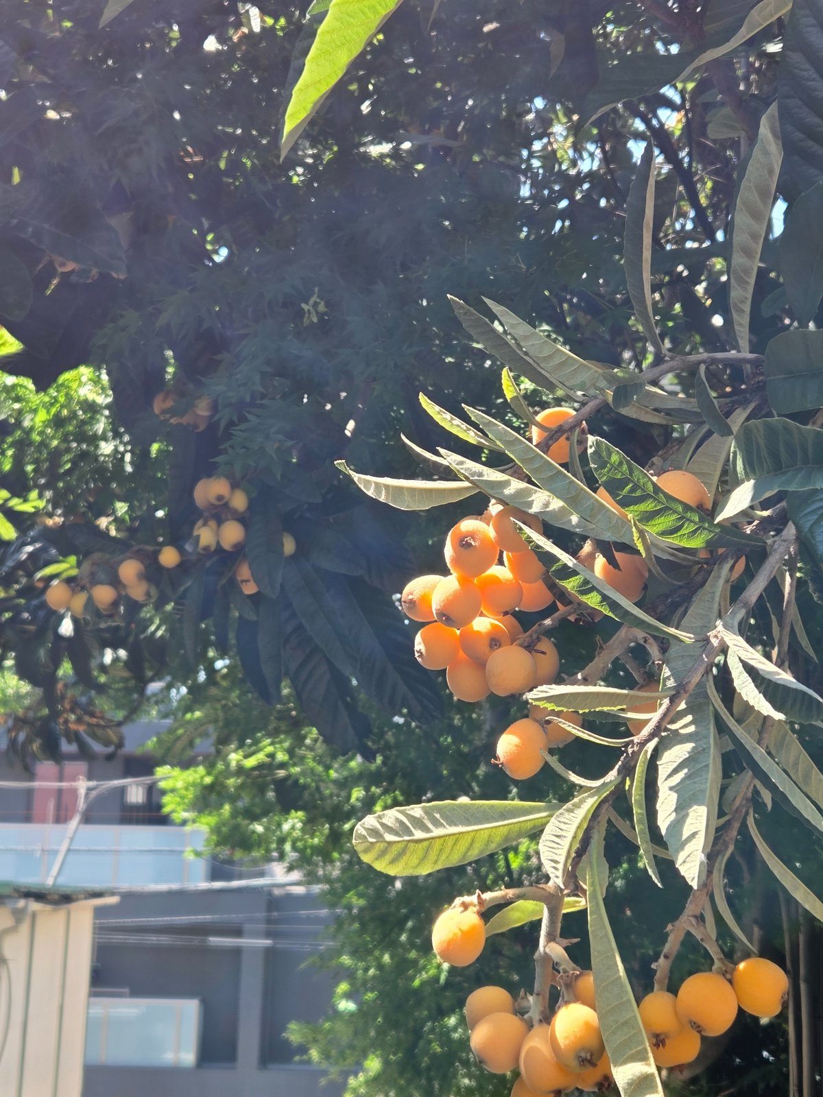 何気ない日常を大量の写真と共に（78枚）｜YOSUKEOTSUKA 大塚陽介