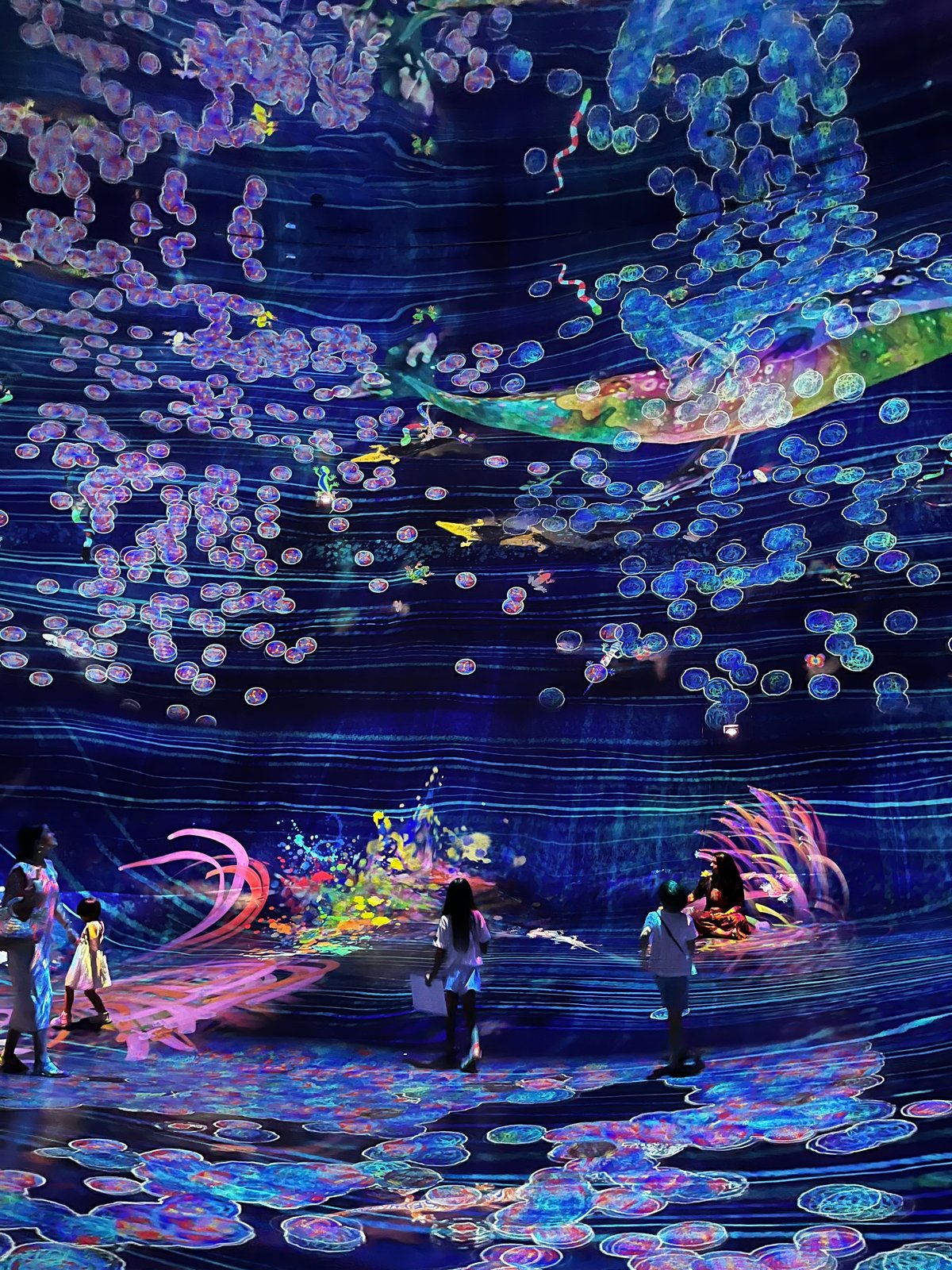【チームラボ アブダビ】teamLab Phenomena Abu Dhabi｜natsumy@UAE