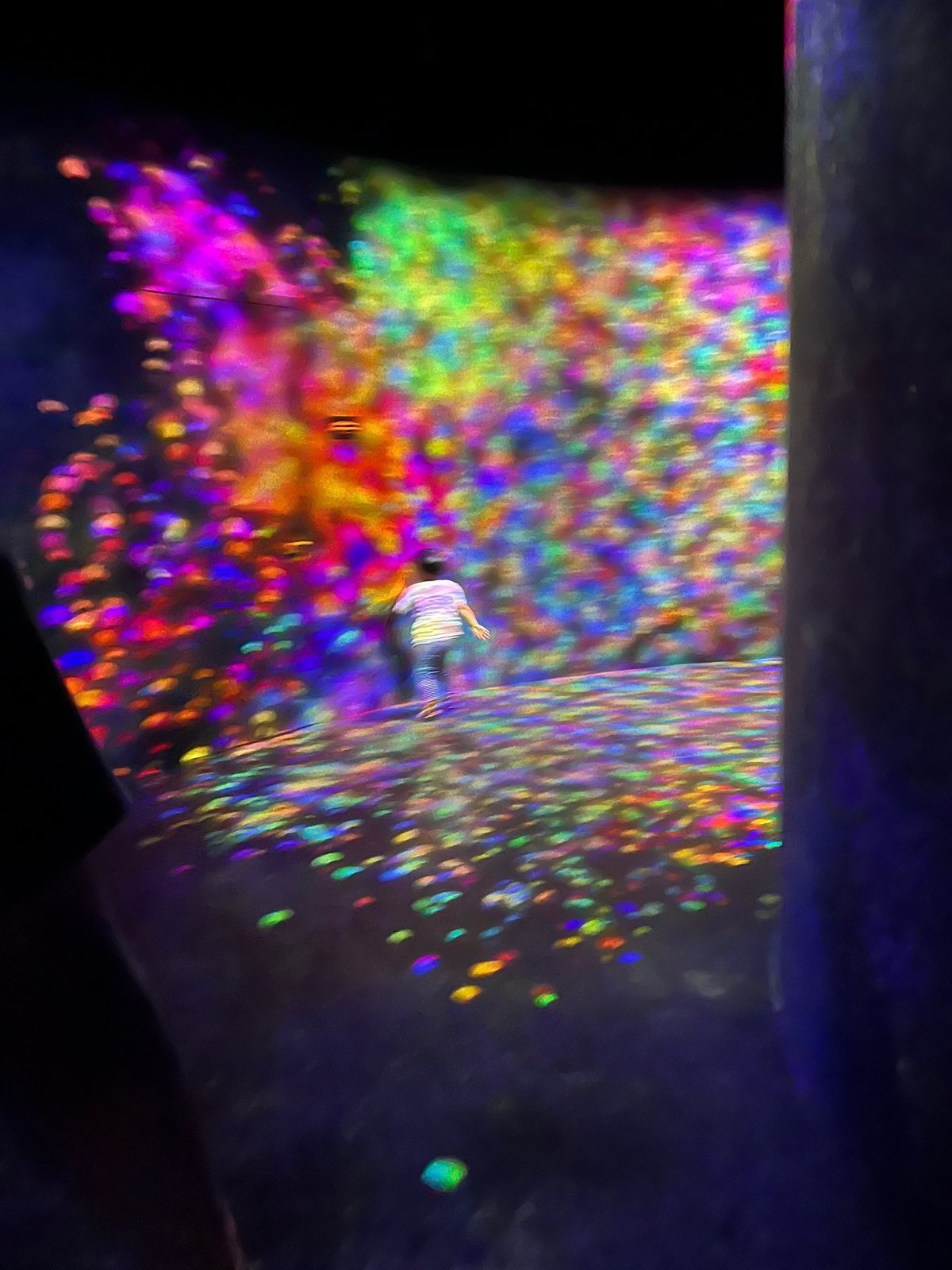 【チームラボ アブダビ】teamLab Phenomena Abu Dhabi｜natsumy@UAE