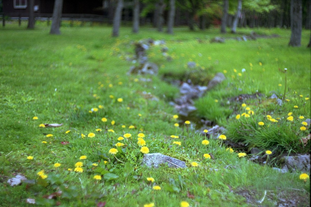 25年5月 ノーザンホースパーク｜robert_oku