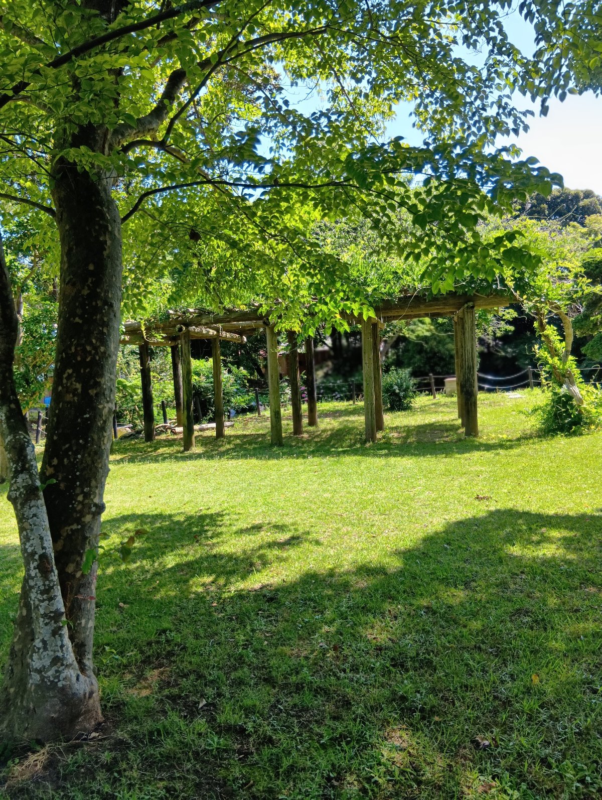 ②心に残る風景写真（樹木）｜workma