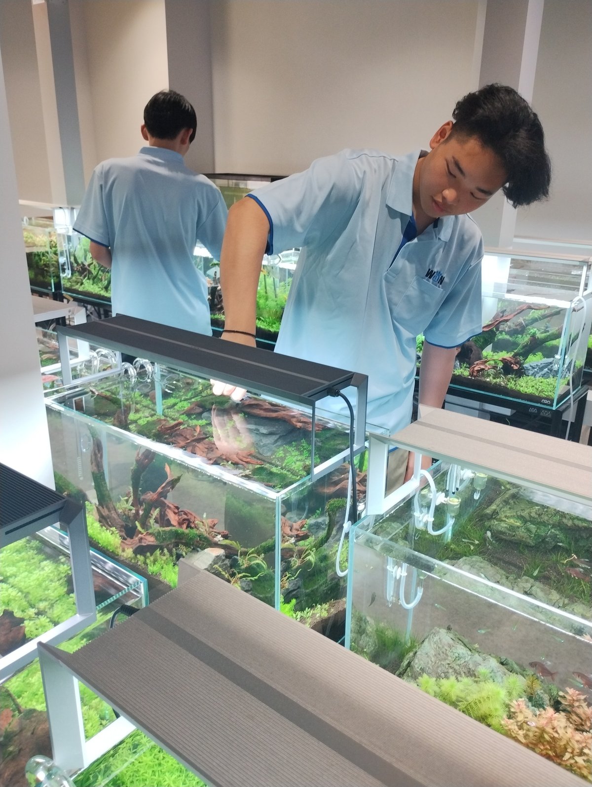 【撮影取材！】NHK「新潟ニュース610」にWaN古町キャンパスが登場します！｜WaN 国際ペットワールド専門学校