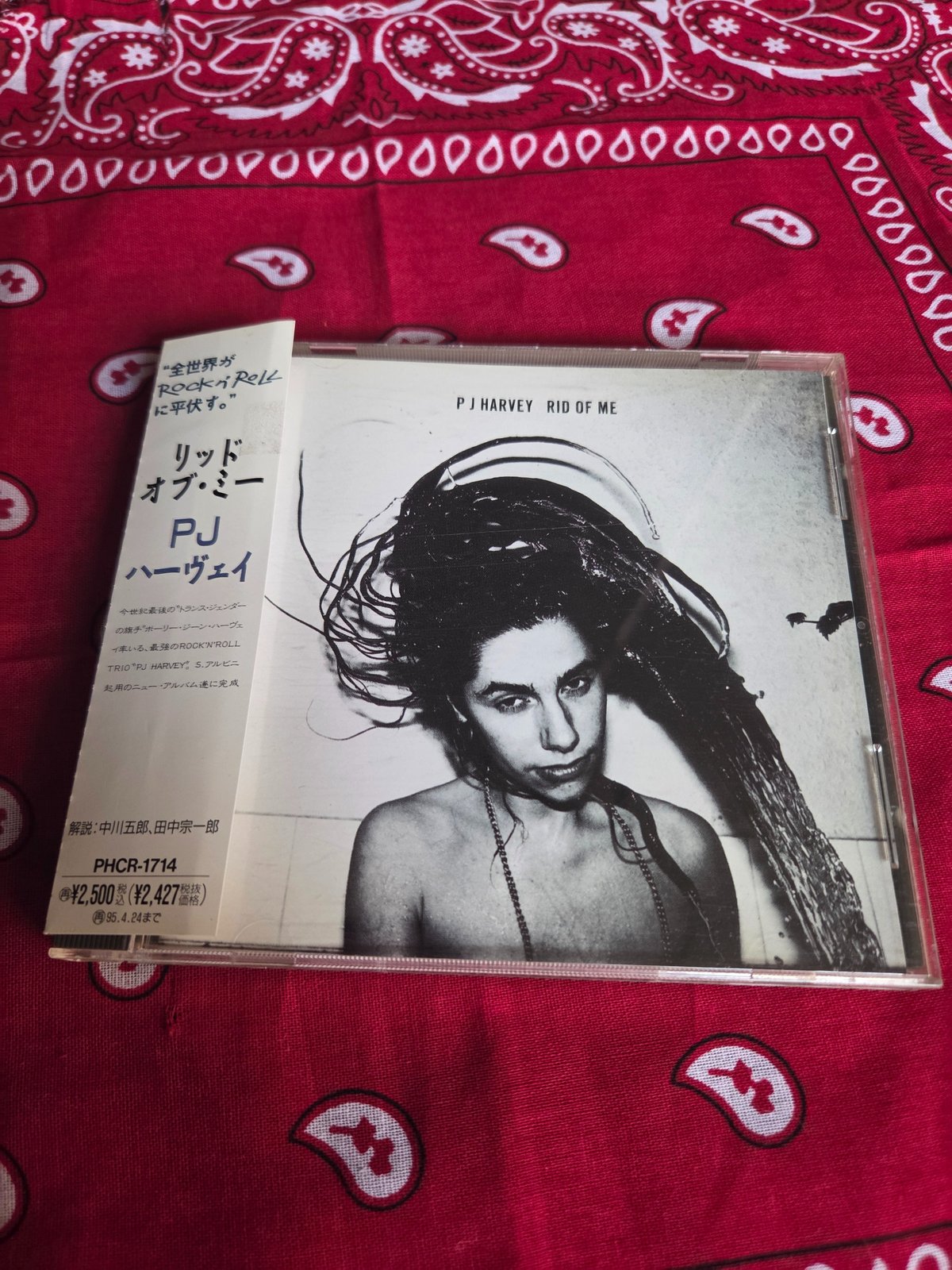 私の好きなアルバム其の207[オルタナティブ/ロック編]｜kei1diablo