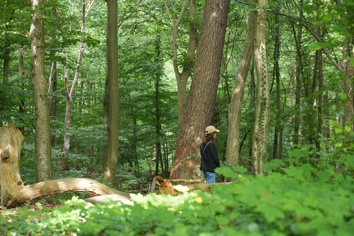 DANROという“蜃気楼のような場所”で手に入れたもの——DANRO卒業生インタビュー｜DANRO inc.