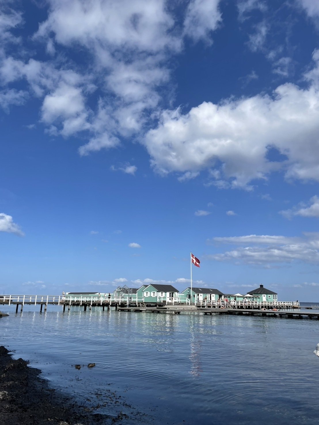 DANROという“蜃気楼のような場所”で手に入れたもの——DANRO卒業生インタビュー｜DANRO inc.