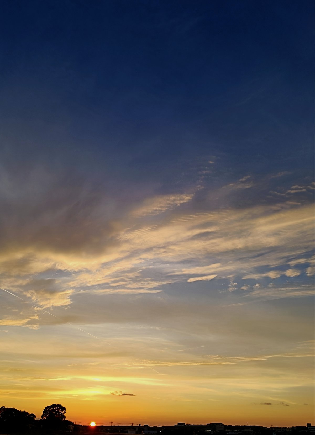 ありがとう。｜sora_purecolor