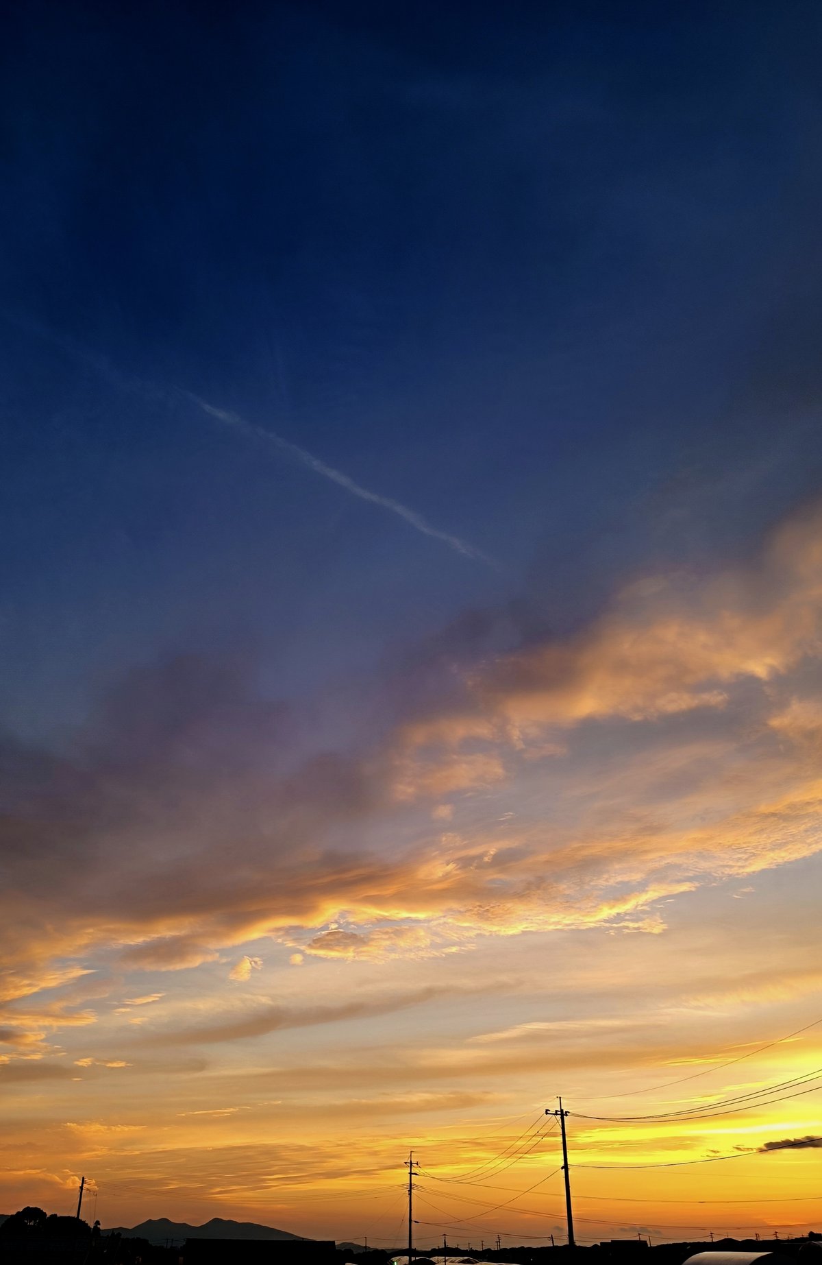 ありがとう。｜sora_purecolor