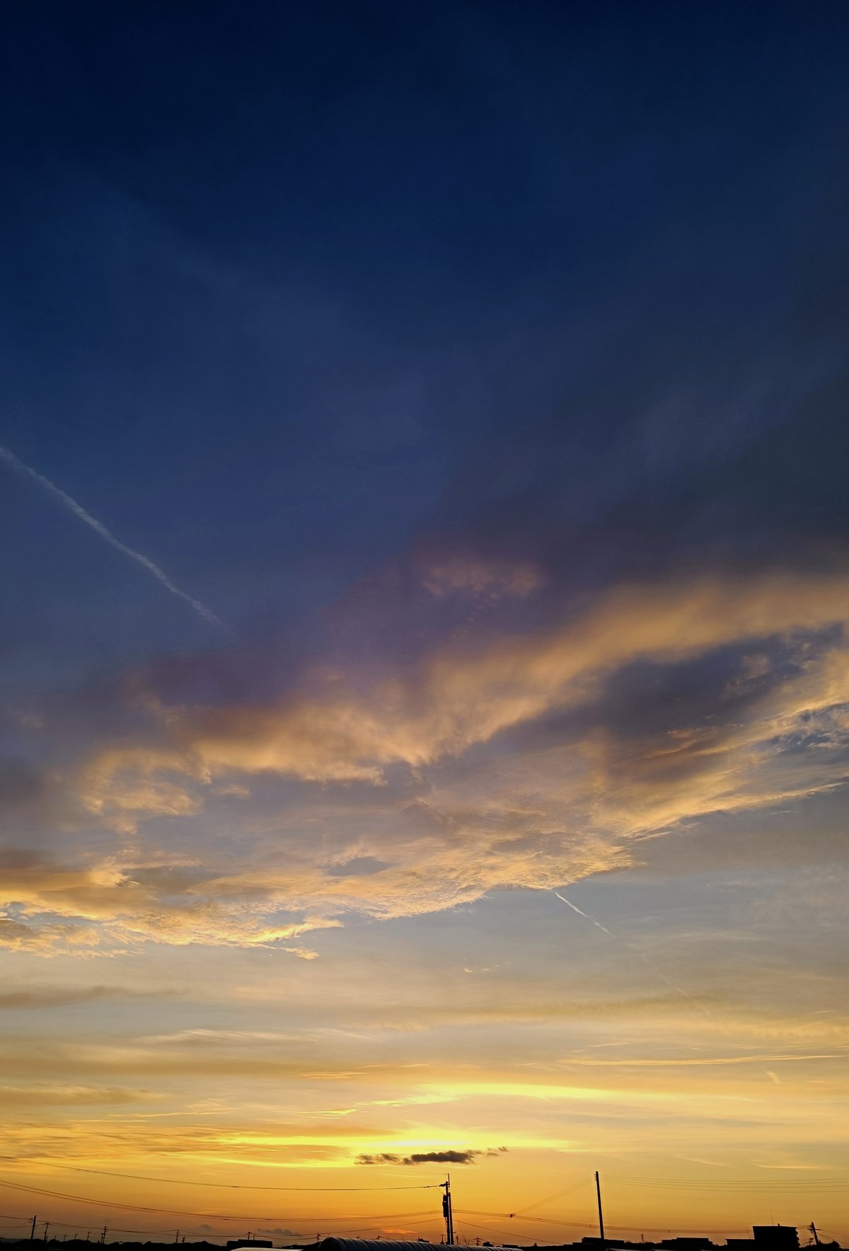 ありがとう。｜sora_purecolor