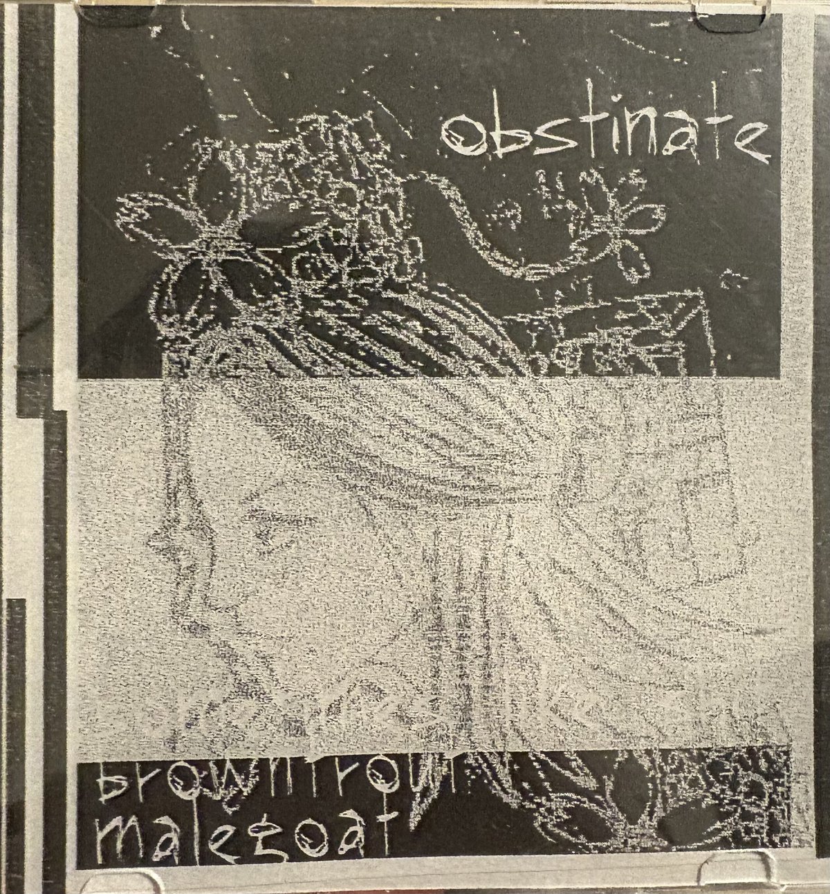 GREEDY FAT CAT インタビュー ｜hallucination