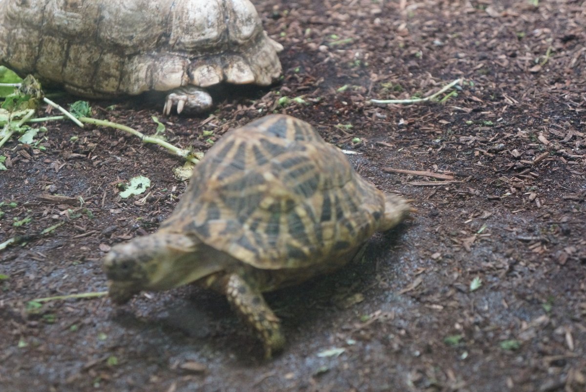 カメラバッグに詰め込んで｜MITSUDA Tetsuo