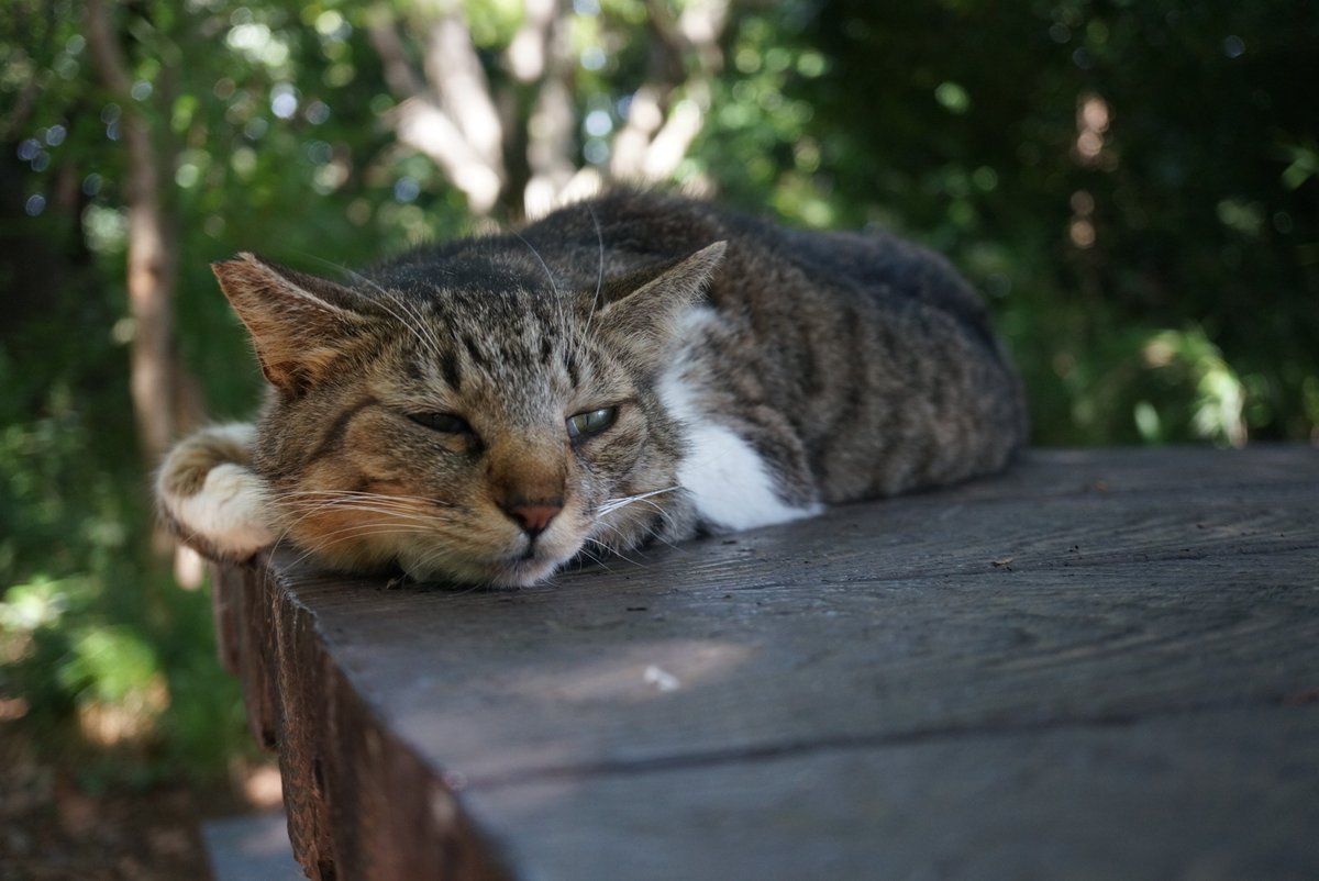 カメラバッグに詰め込んで｜MITSUDA Tetsuo