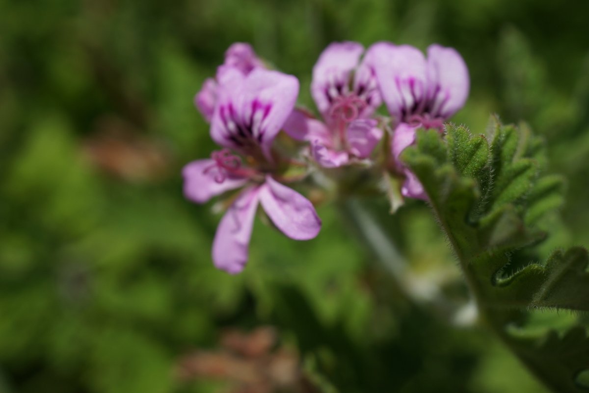 カメラバッグに詰め込んで｜MITSUDA Tetsuo