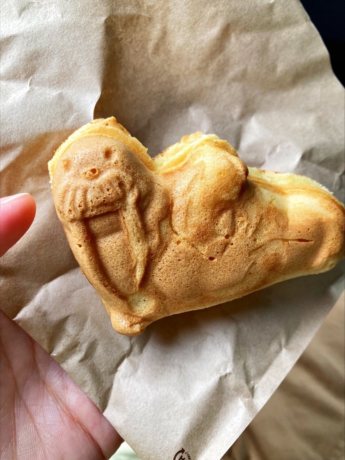 大分で海活｜kitayama