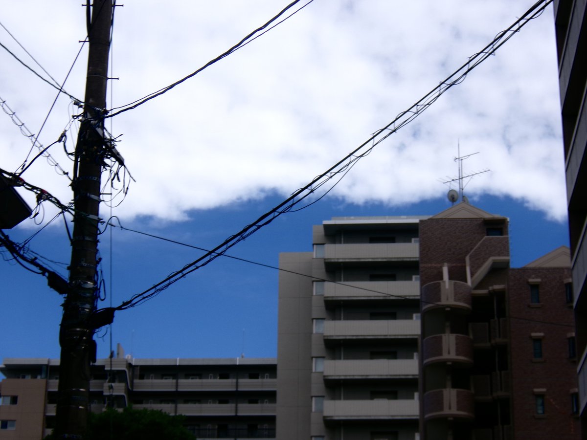 夏至のKodak FZ 45｜u_we_kaku