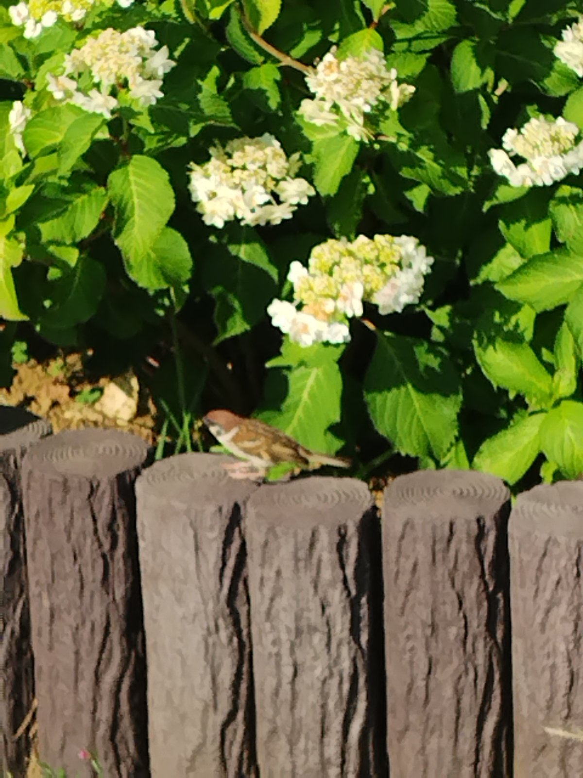 機動戦士ガンダムGQuuuuuuX1話～11話所感｜せいたろうくん