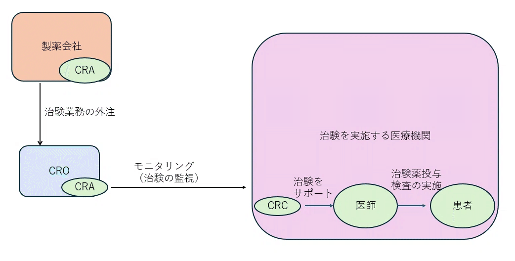 【図解】CRO/CRA/CRCの違いを関係性からわかりやすく解説｜かつろう@CRA