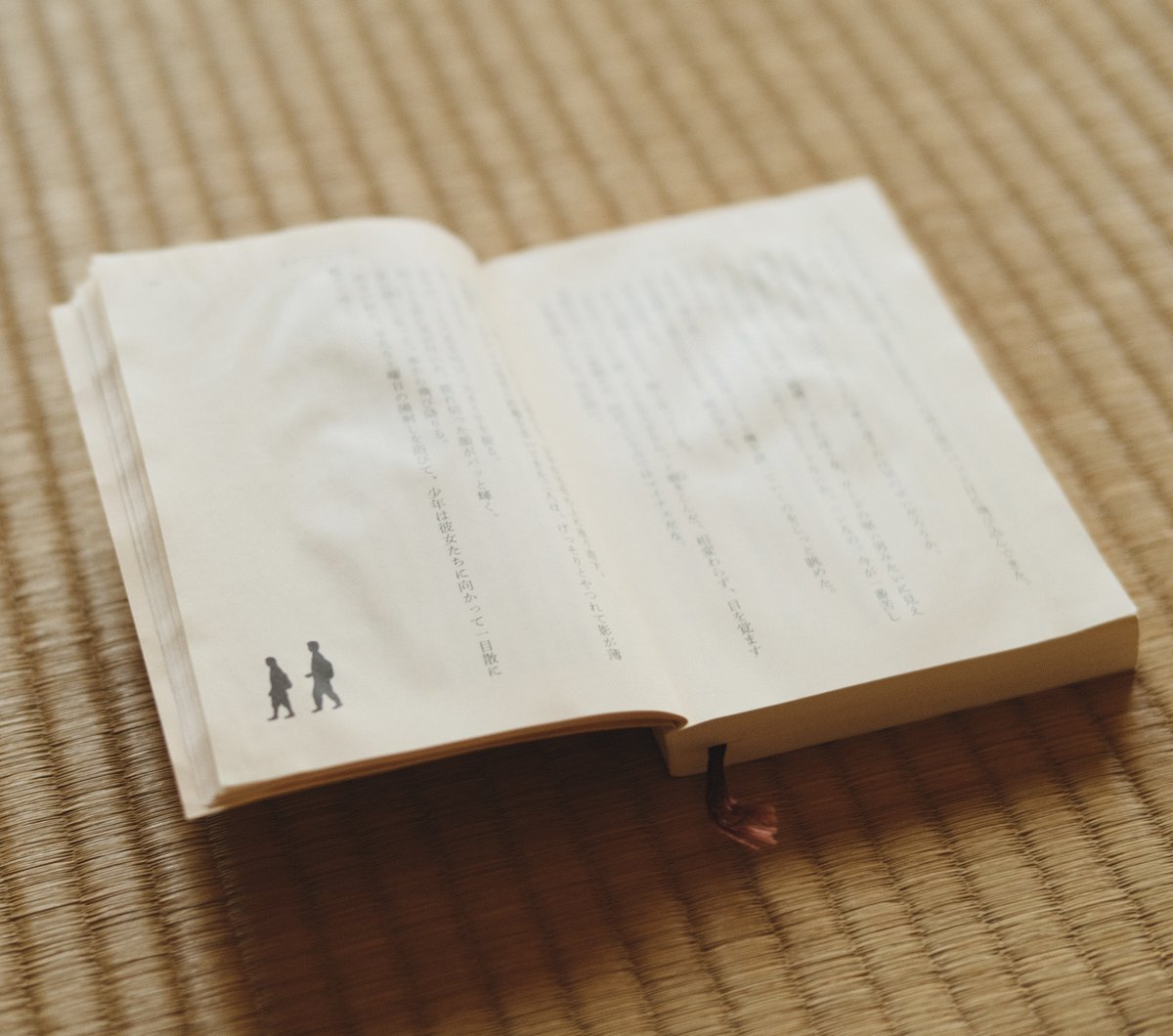 『夜のピクニック』｜kikkake_books